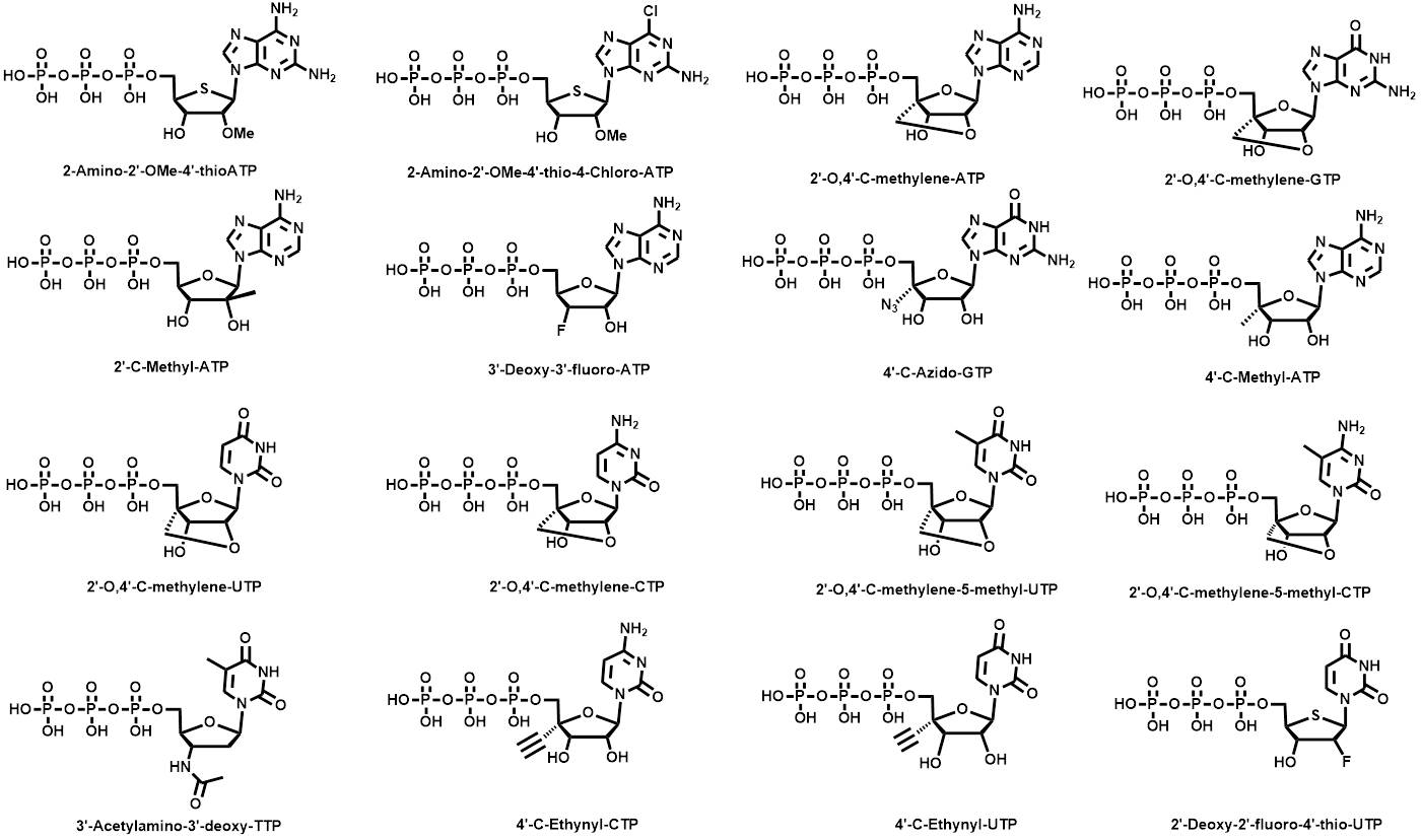 NUCLEOTIDES – AX Molecules Inc